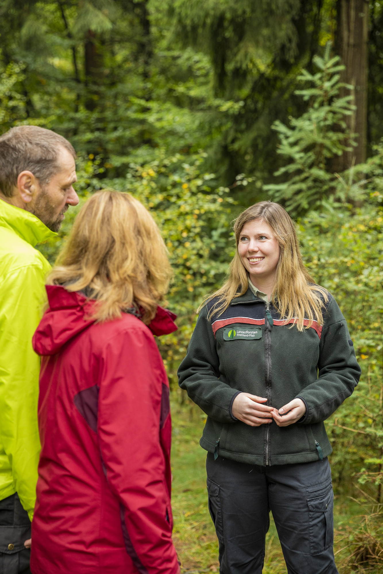 Wie Waldführungen in Zeiten des Klimawandels gelingen - waldwissen.net