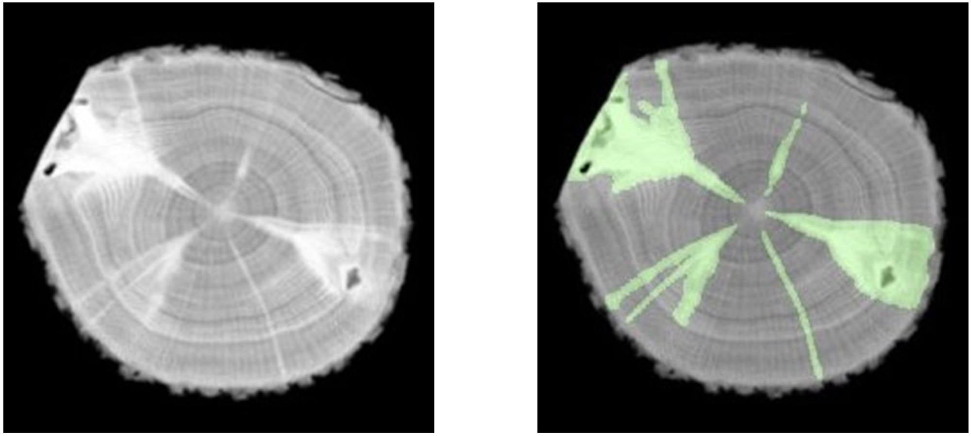 Künstliche Intelligenz in der Holzforschung - waldwissen.net