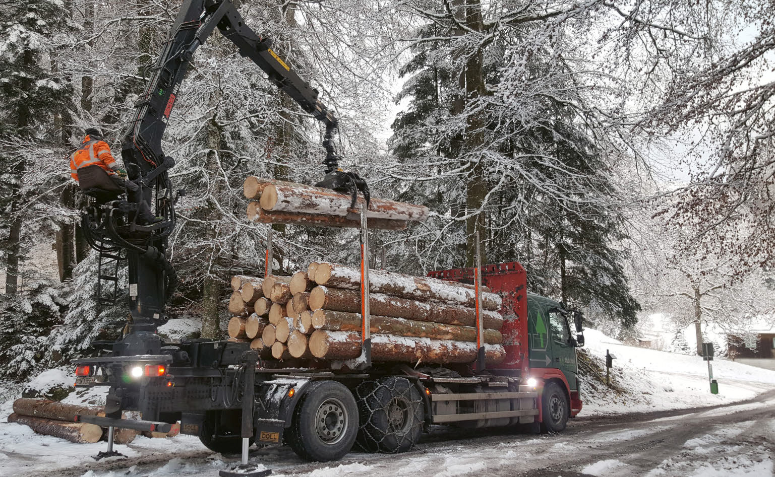 Wie gut ist der Schweizer Wald für die Holzernte erschlossen? - waldwissen.net
