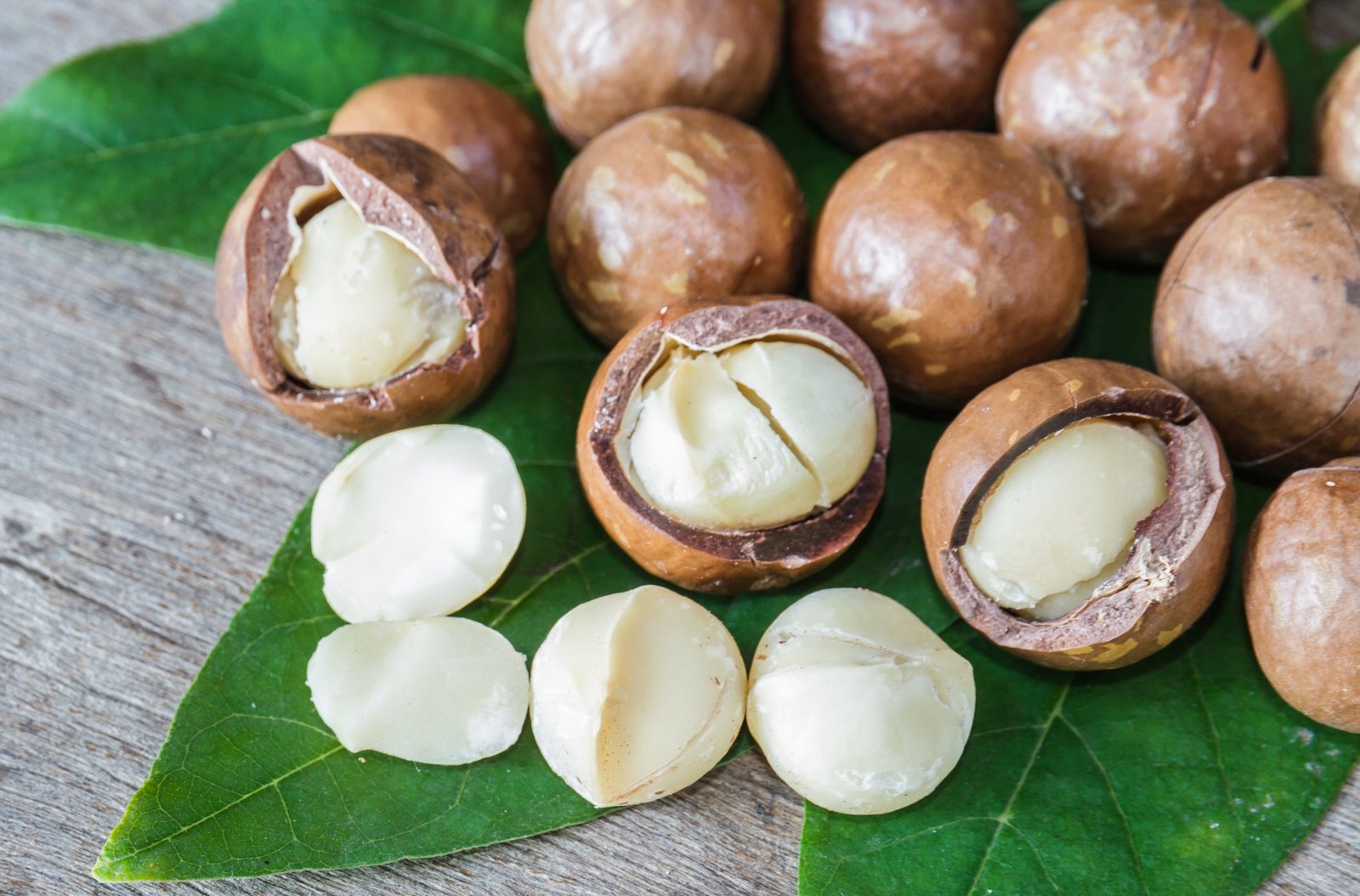 Nuts and almond kernels - a closer look at nuts and nut trees ...