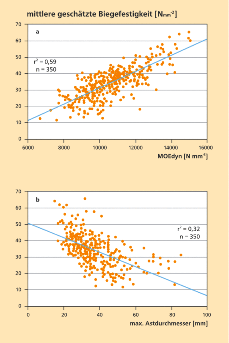 Douglas fir: wood sorting and sawn wood yield - waldwissen.net