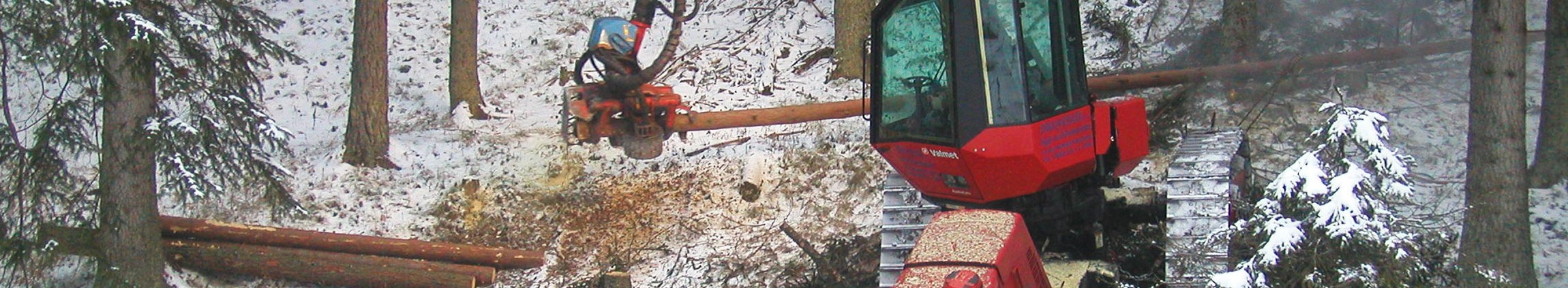 Königsbronner Harvesterverfahren im Starkholz