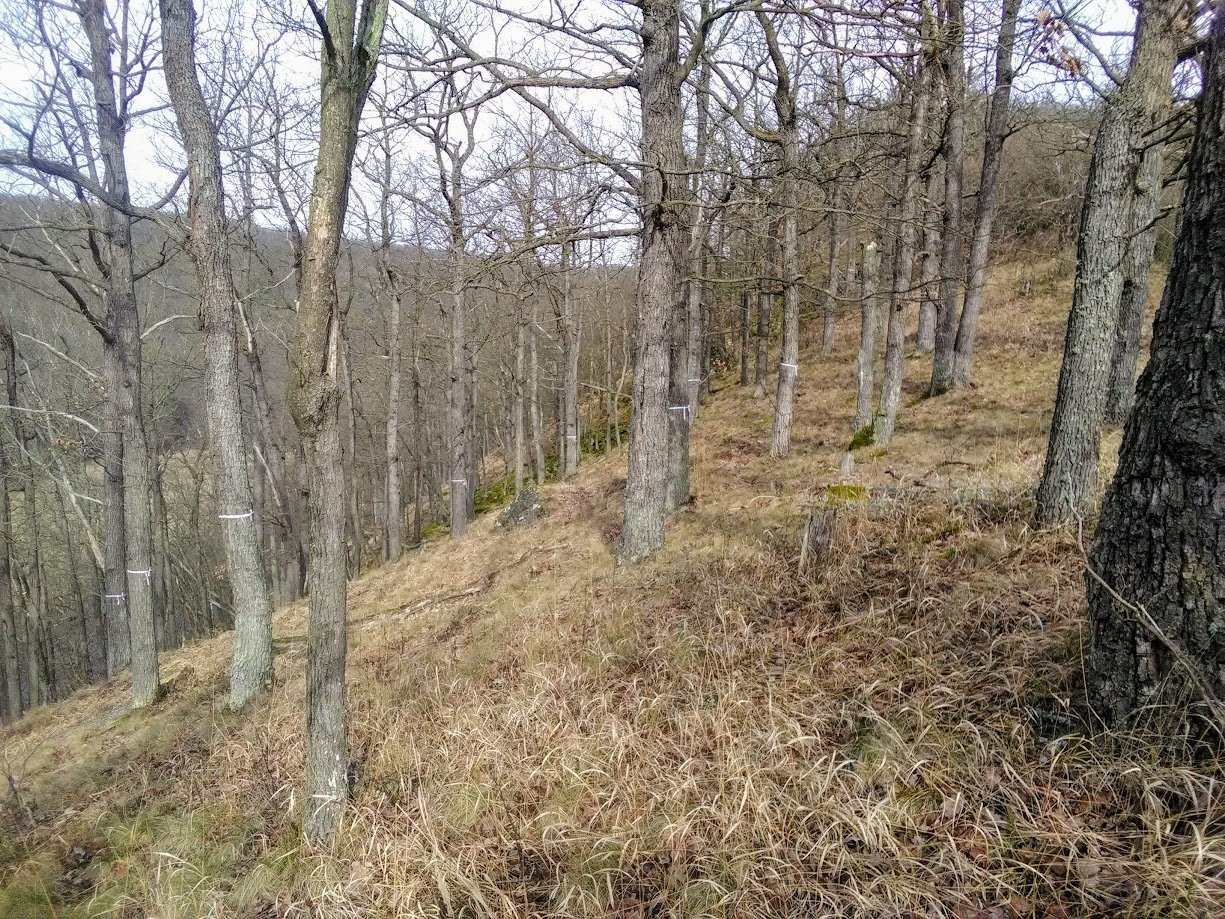 Schatzsuche im Nationalpark - waldwissen.net