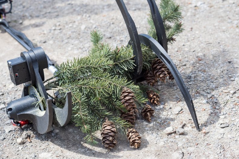 Probenentnahme aus der Luft: Wie Drohnen die Saatguternteeinschätzung ...