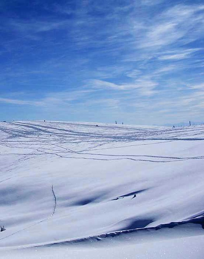 Avalanche: foundations for effective protection - waldwissen.net