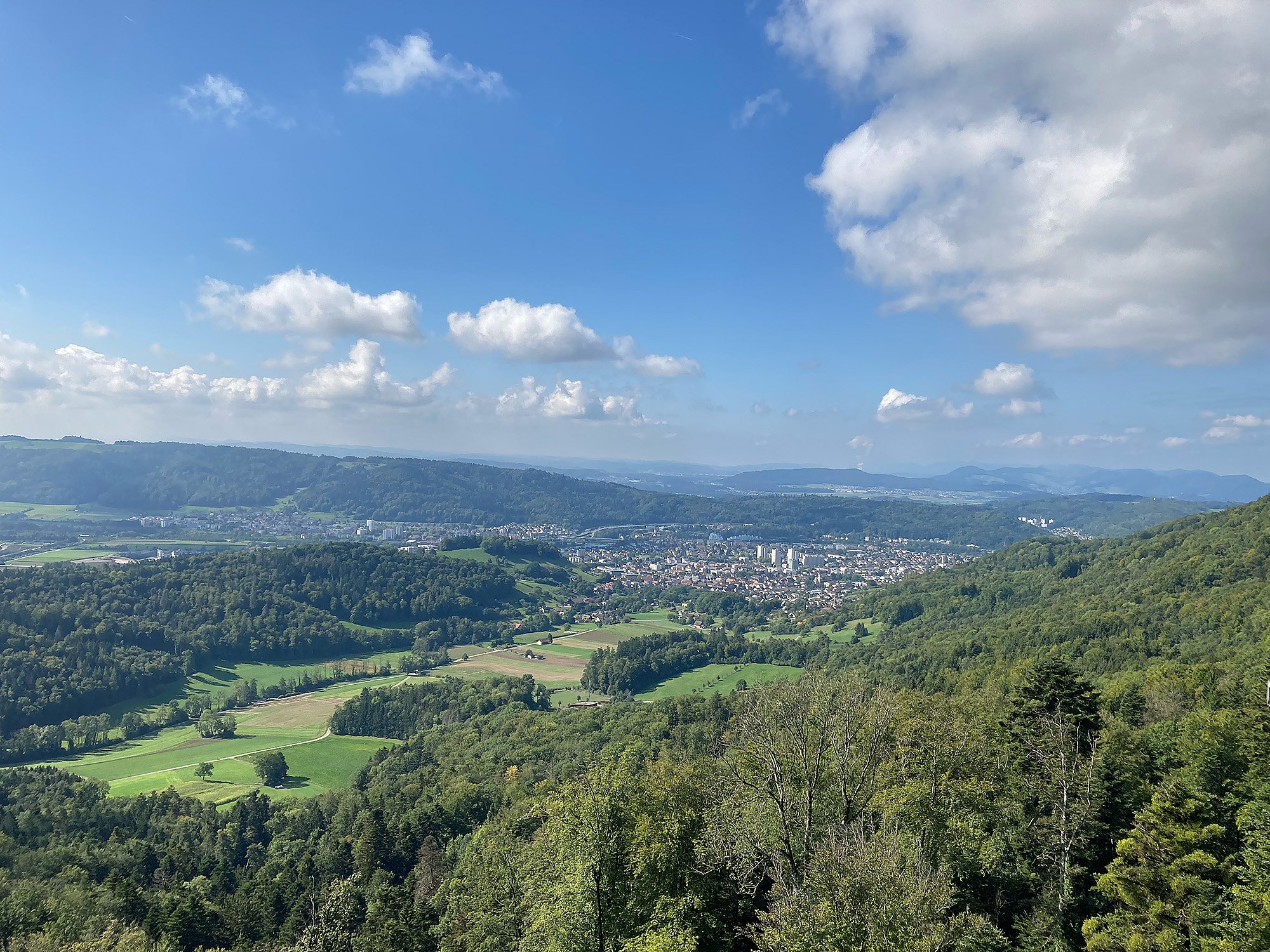 Biodiversität in der Schweiz: ist die Talsohle erreicht? - waldwissen.net