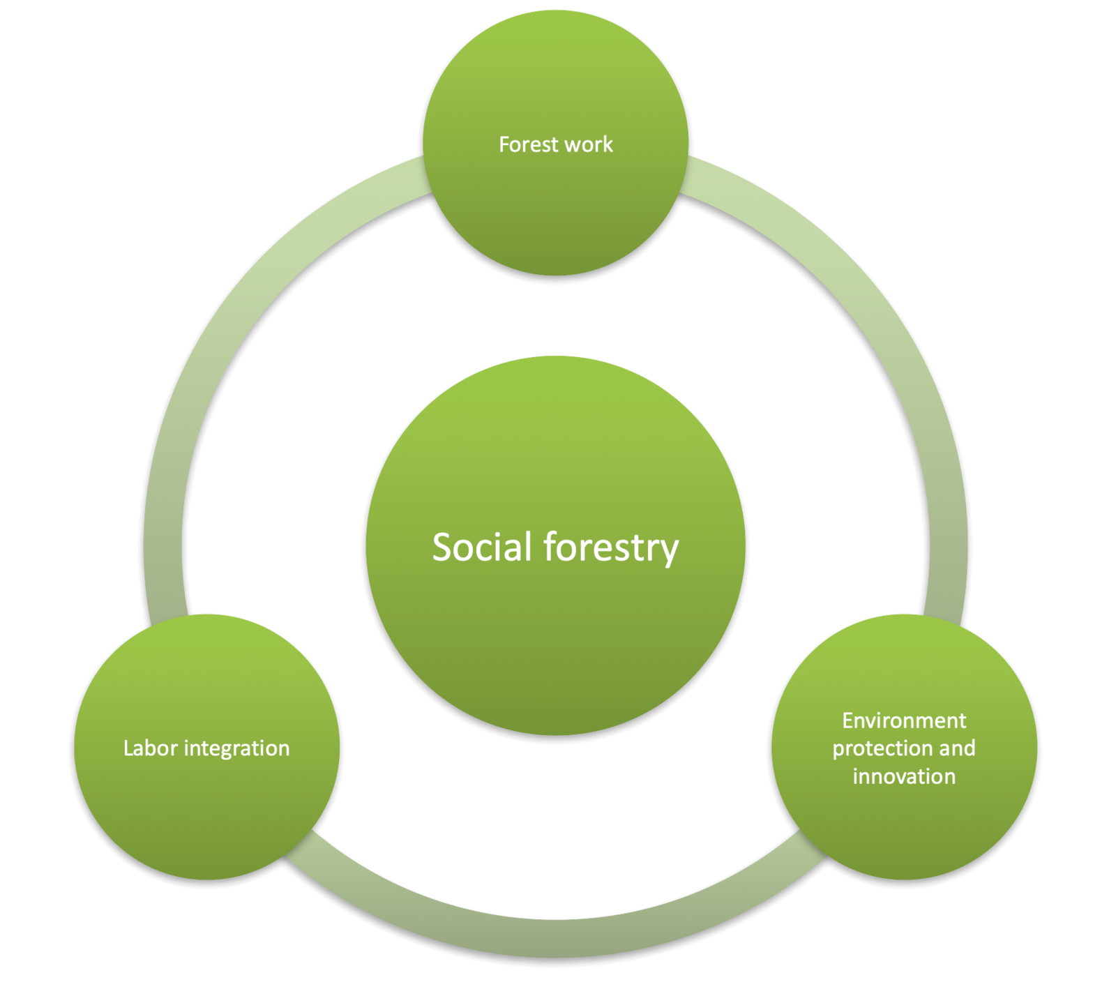 Social Forestry - waldwissen.net