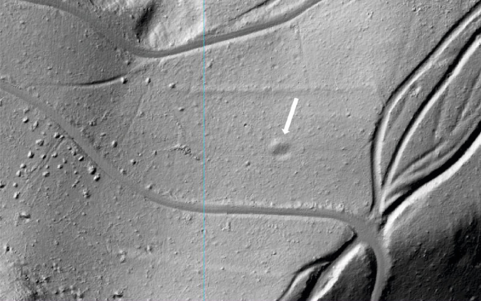Unser Wald – eine Schatztruhe für die Archäologie - waldwissen.net