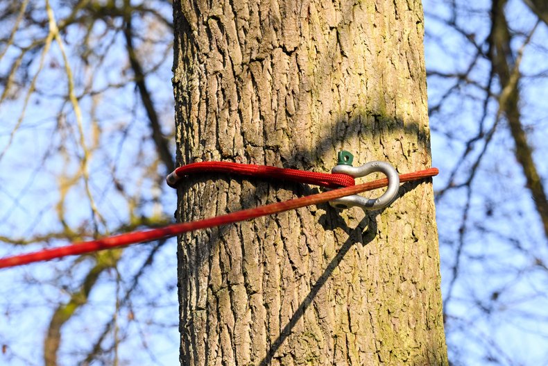 LWF-Merkblatt Nr. 53 - Sichere Schadholzernte - waldwissen.net
