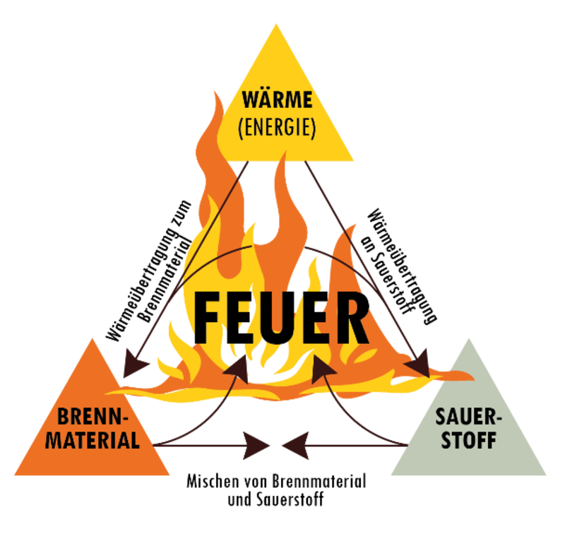 Feuer verstehen, Waldbrände gezielt bekämpfen - waldwissen.net