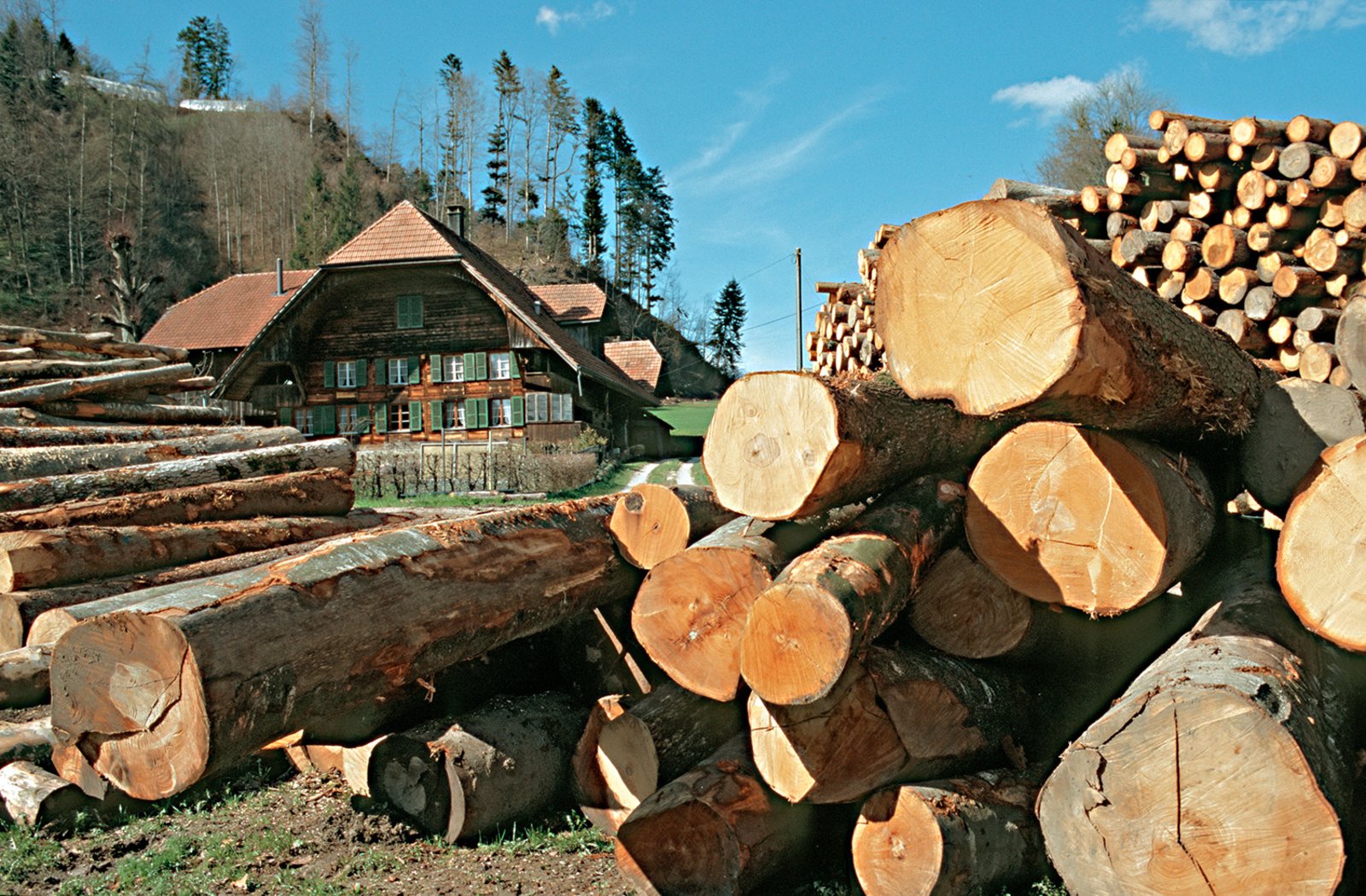 Wood as part of the energy transition - waldwissen.net
