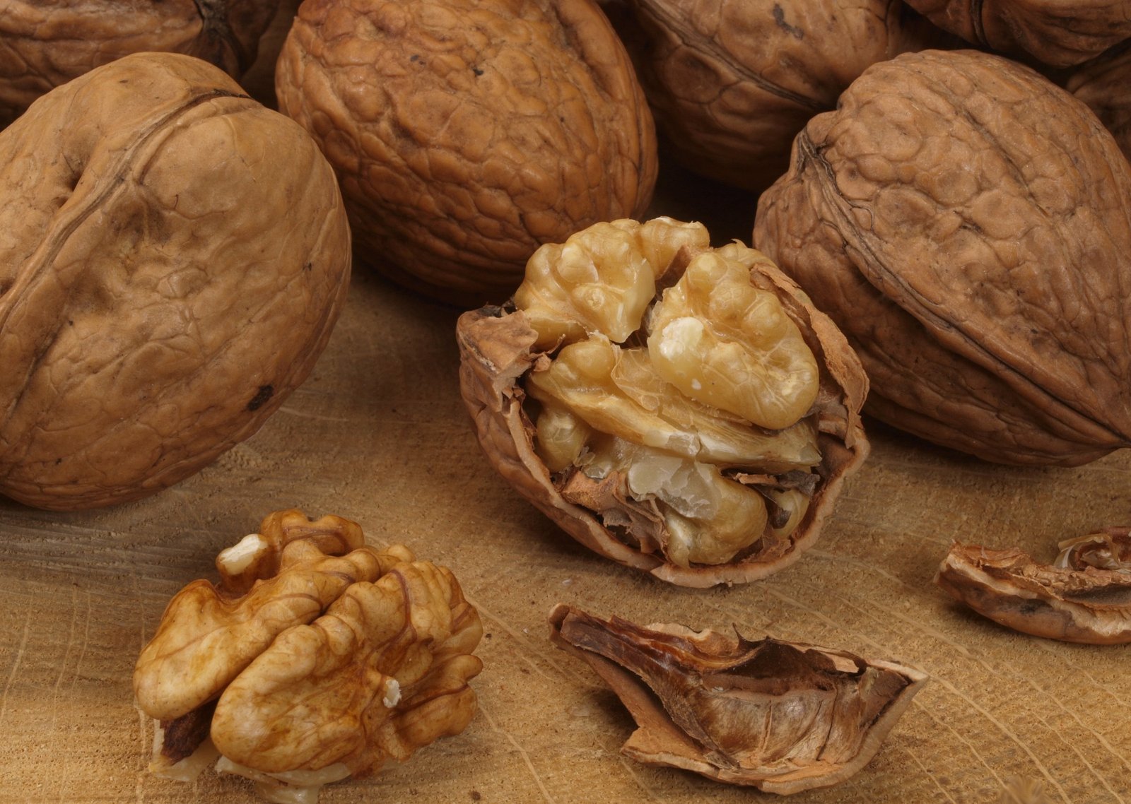 Nuss und Mandelkern - Nüsse und Nussbäume näher betrachtet