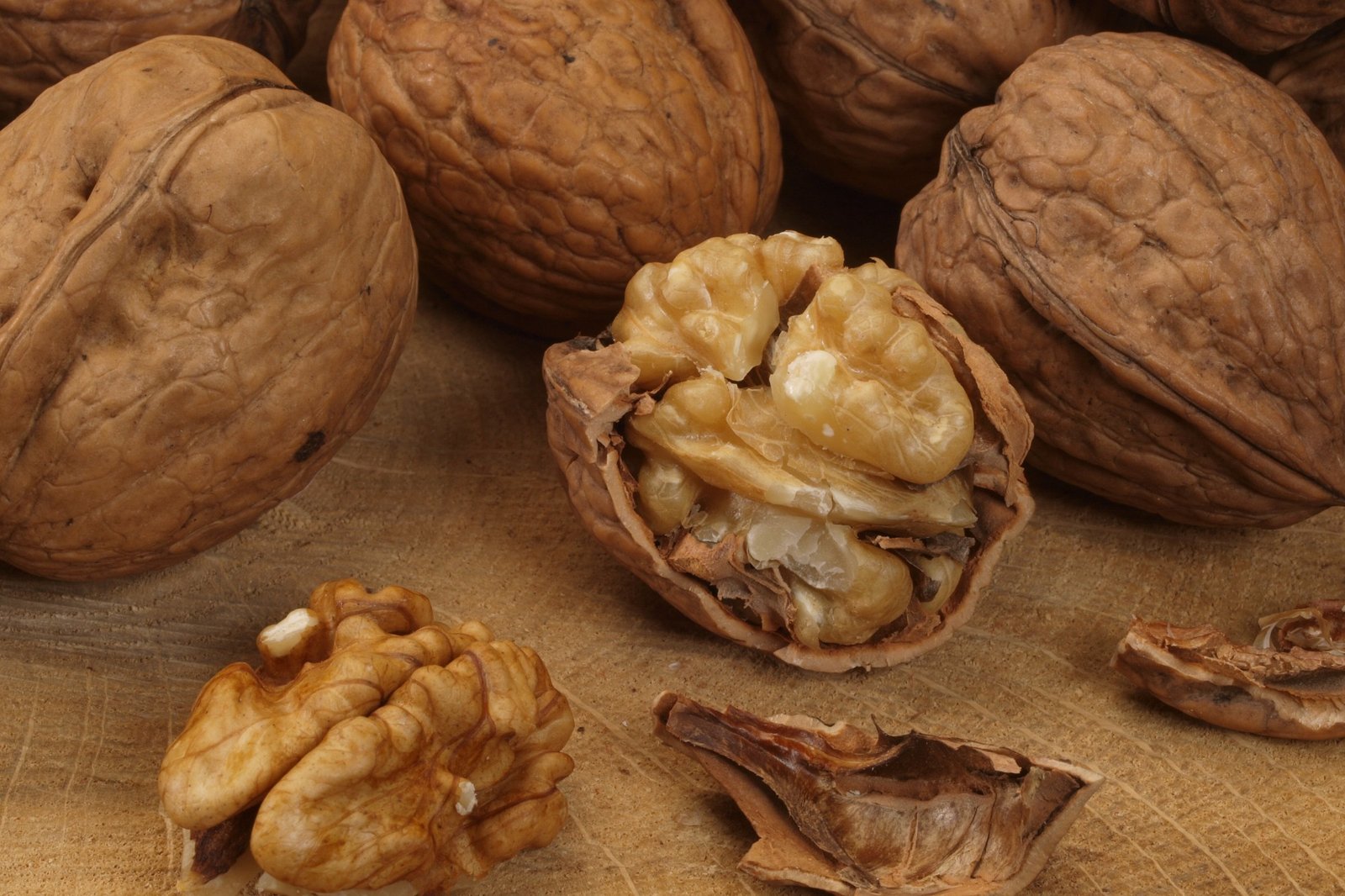Nuts and almond kernels - a closer look at nuts and nut trees ...
