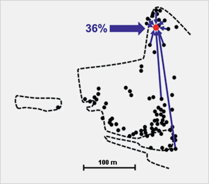 How far does pollen travel? - waldwissen.net