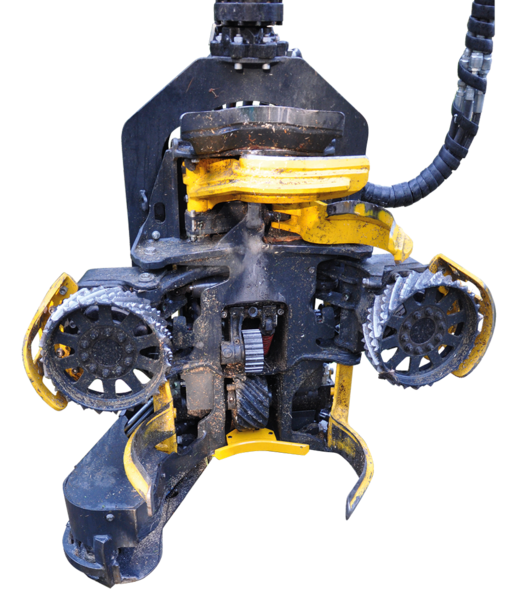 Debarking Heads - waldwissen.net