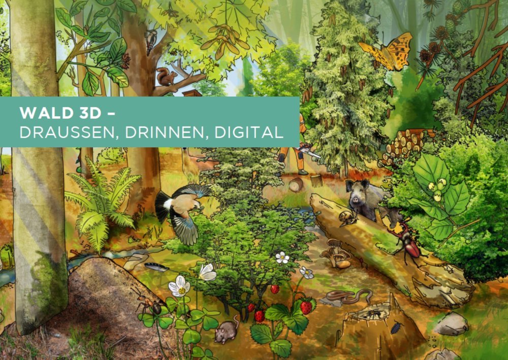 Wald 3D: Draußen, Drinnen, Digital - waldwissen.net