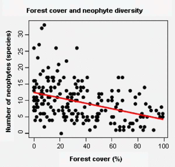 Invasive Neophytes in the Forest - waldwissen.net