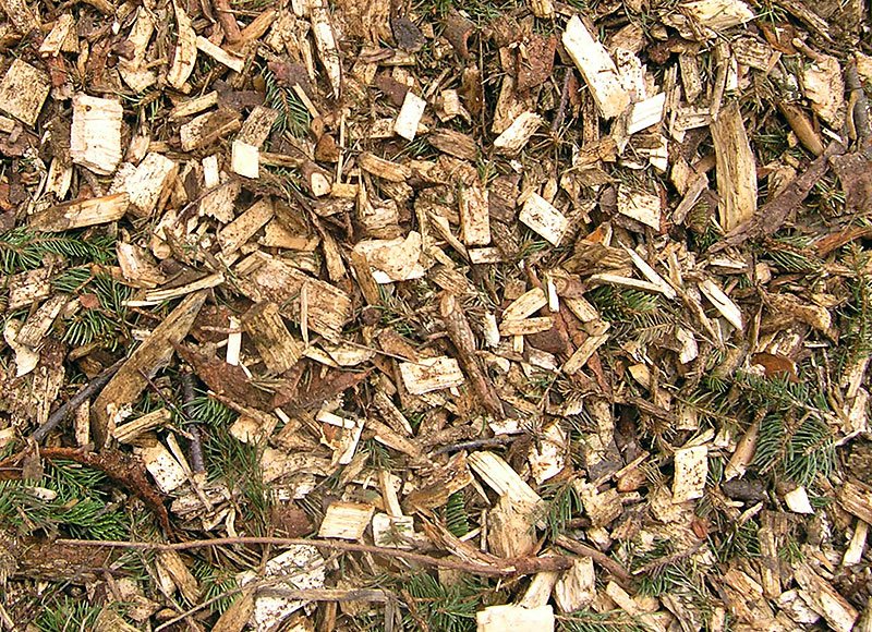 Quality of forest woodchips - waldwissen.net