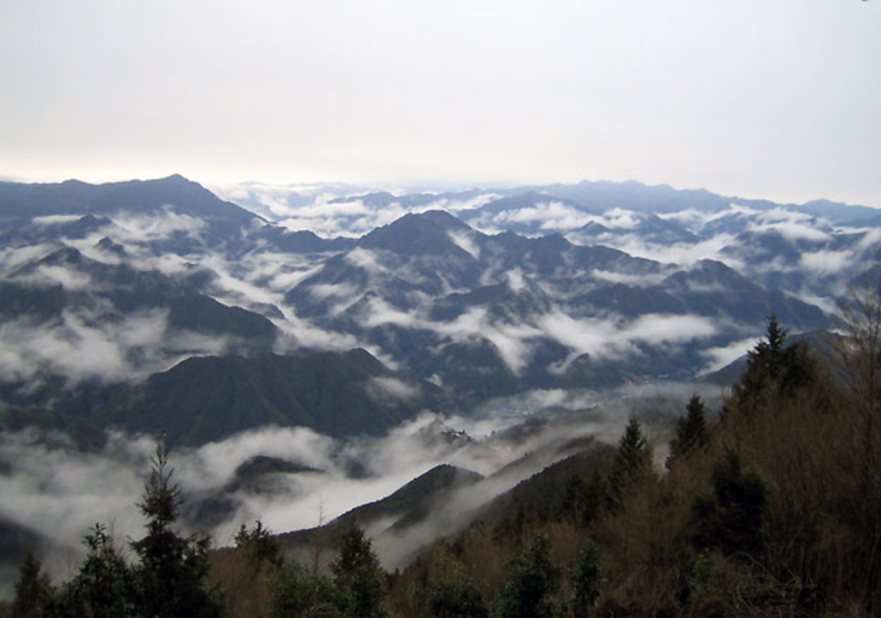 Wald- und Holzwirtschaft in Japan Teil 1: Naturale Grundlagen und ...