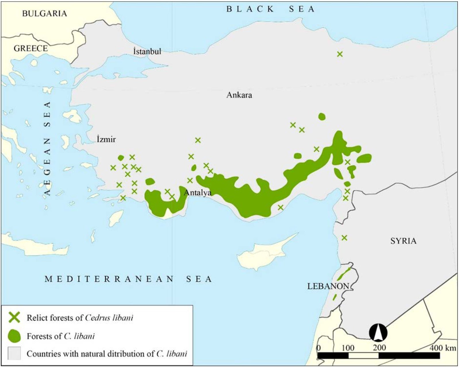 Die Libanon-Zeder im Klimawandel – Erfahrungen aus der Türkei ...