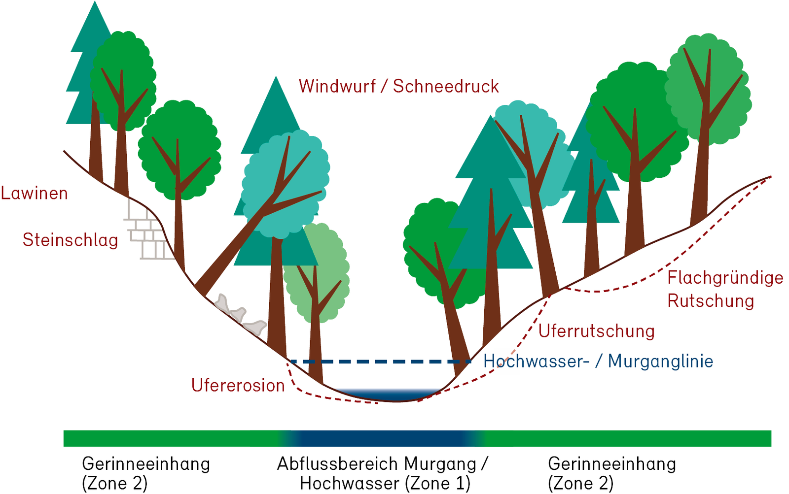 Neues NaiS-Anforderungsprofil für Gerinneschutzwälder - waldwissen.net