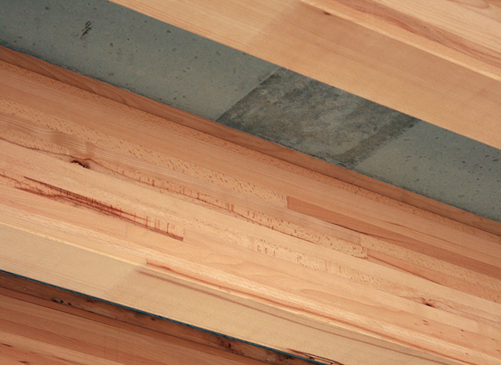 Beech wood - a natural resource for today and tomorrow. - waldwissen.net