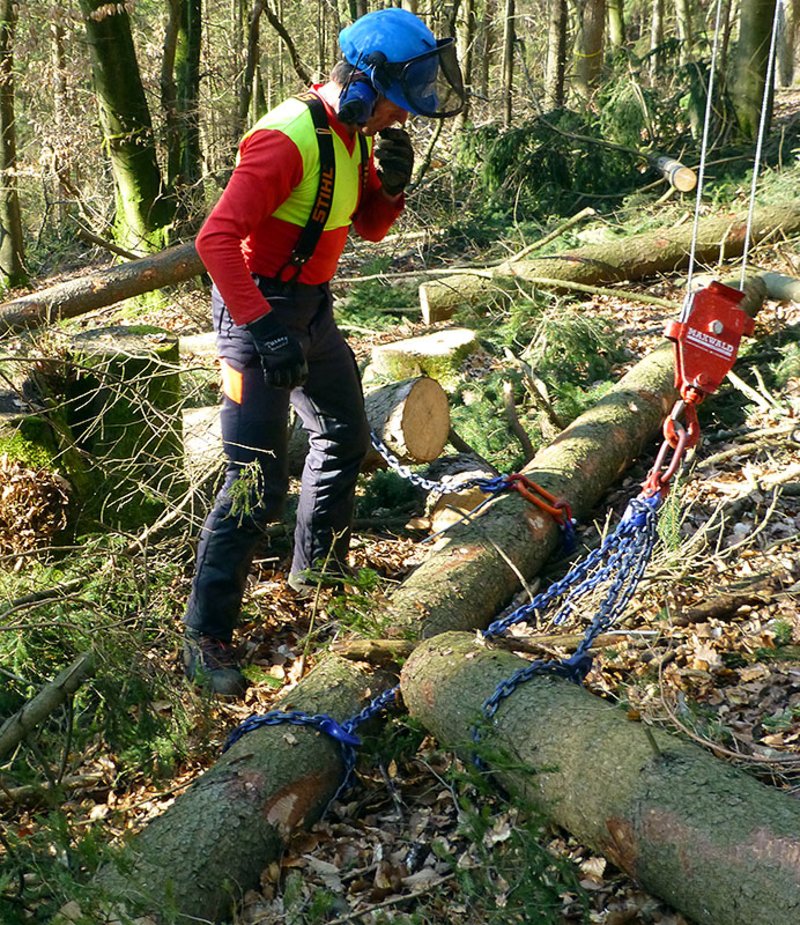 Over and above slopes and wetlands: extracting timber with a small ...