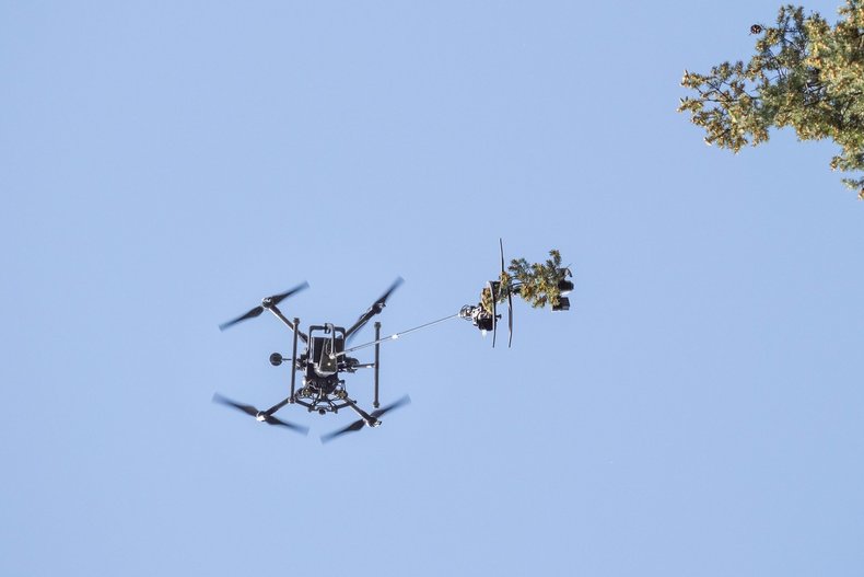 Probenentnahme aus der Luft: Wie Drohnen die Saatguternteeinschätzung ...