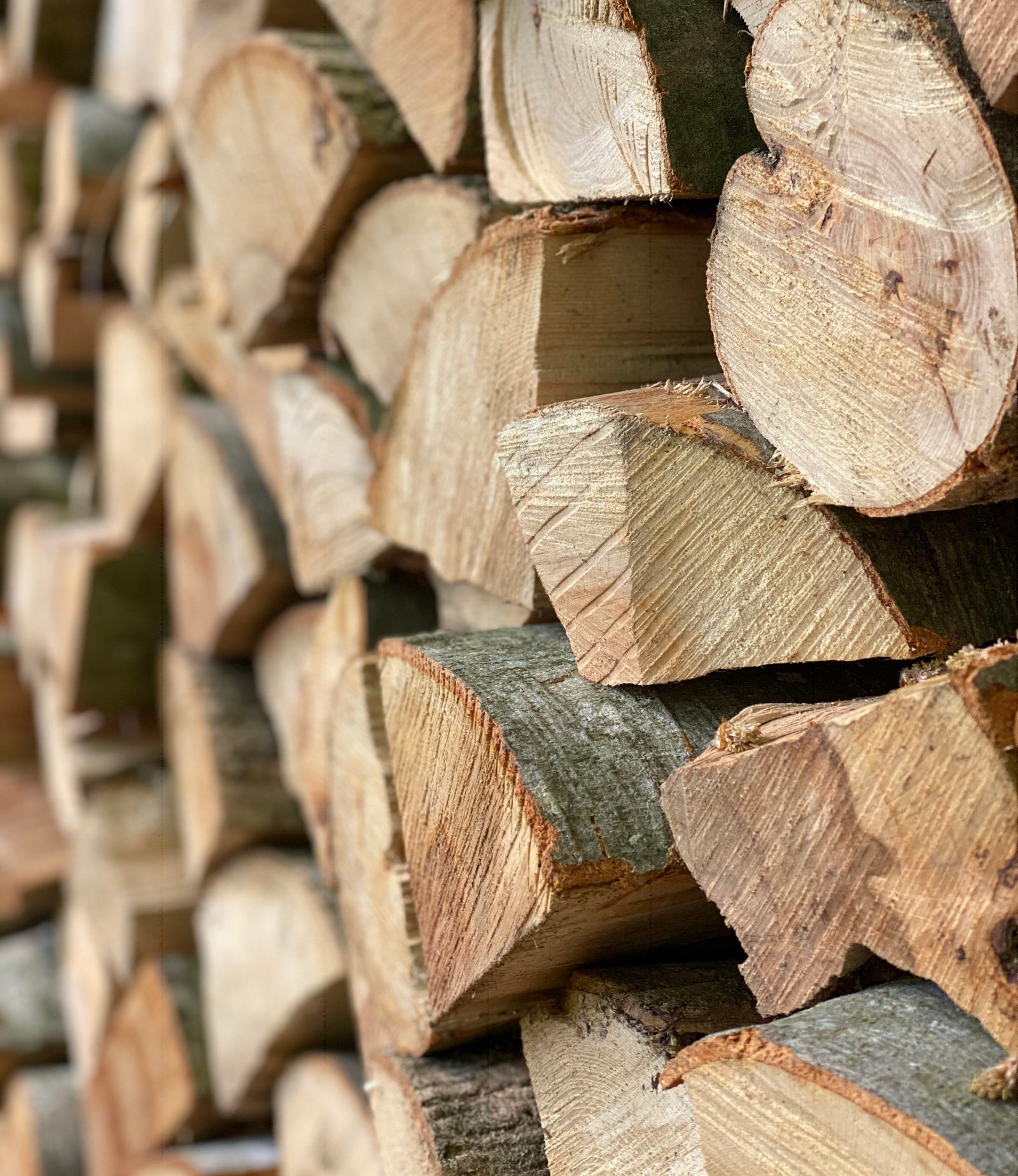 Wood use for energy: Is the criticism justified?