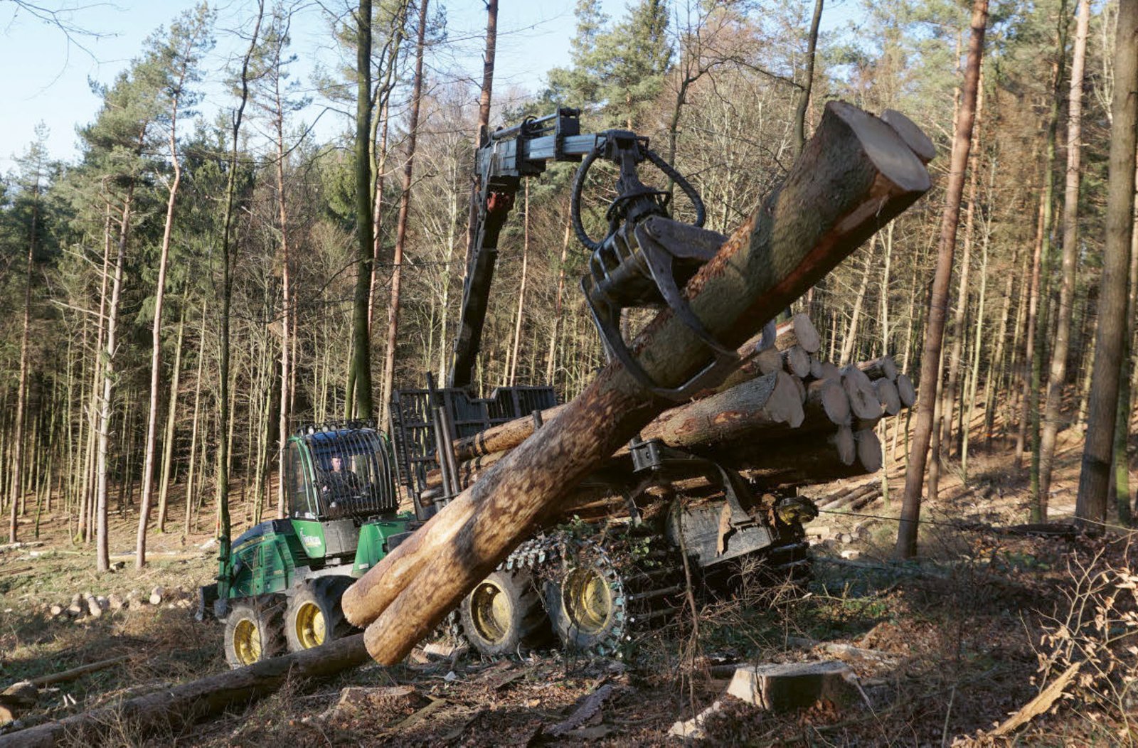 Effizientere Forstbetriebe in der Schweiz
