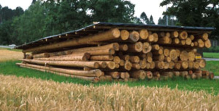 Timber Storage – Dry Storage - waldwissen.net
