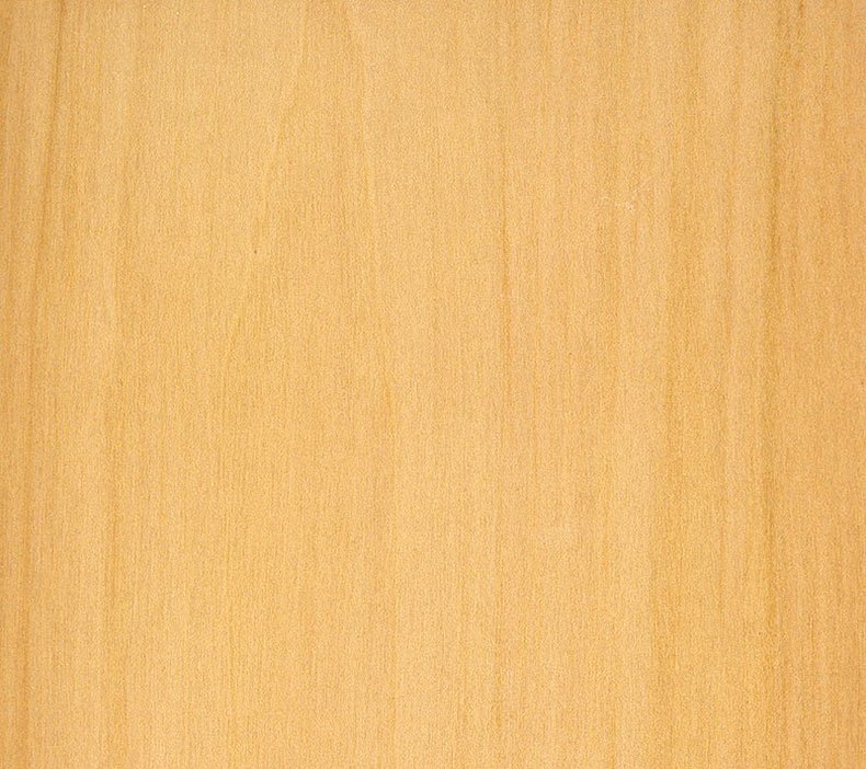 Nutzung der Winterlinde