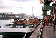 Timber Haulage by Ship - waldwissen.net