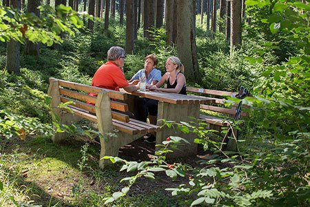 Braucht es den "möblierten Wald"? - waldwissen.net