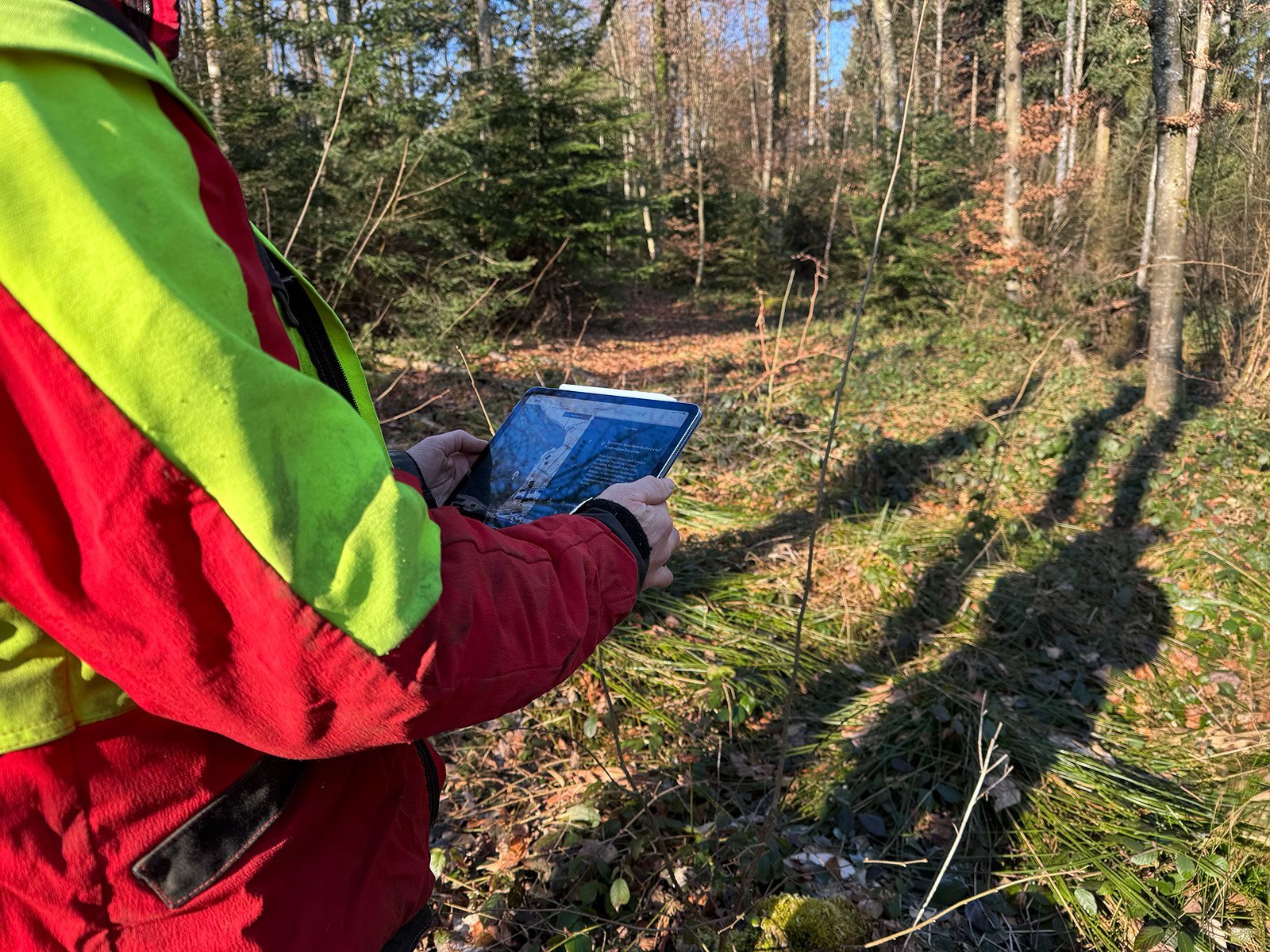 Die Zukunft des Waldes planen – mit der TreeApp - waldwissen.net