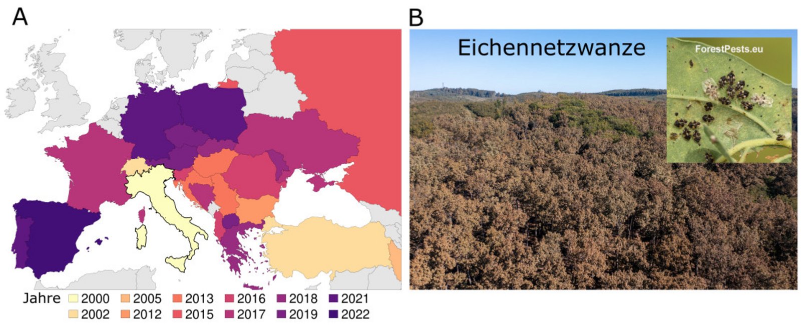 Europas Wälder im Fadenkreuz des Klimawandels - waldwissen.net