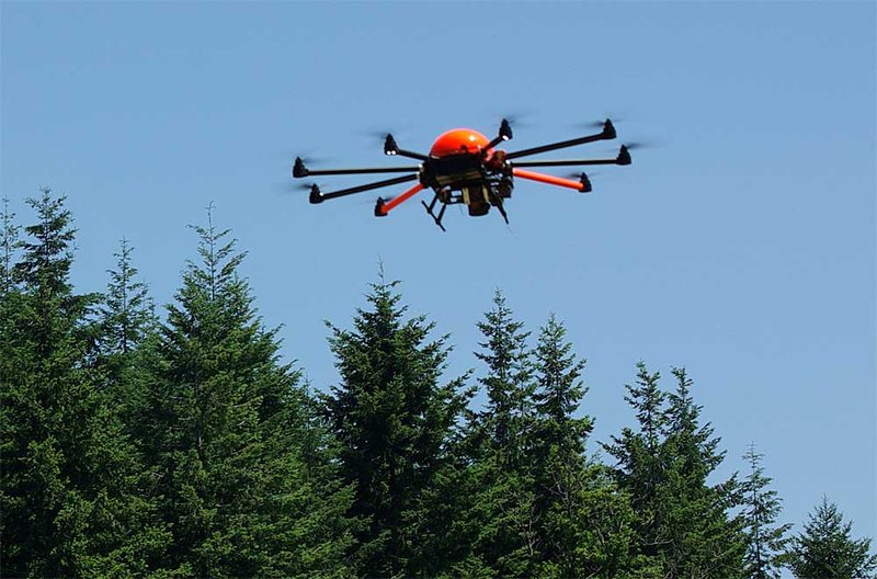 Surveying forest stands and single trees using drones - waldwissen.net