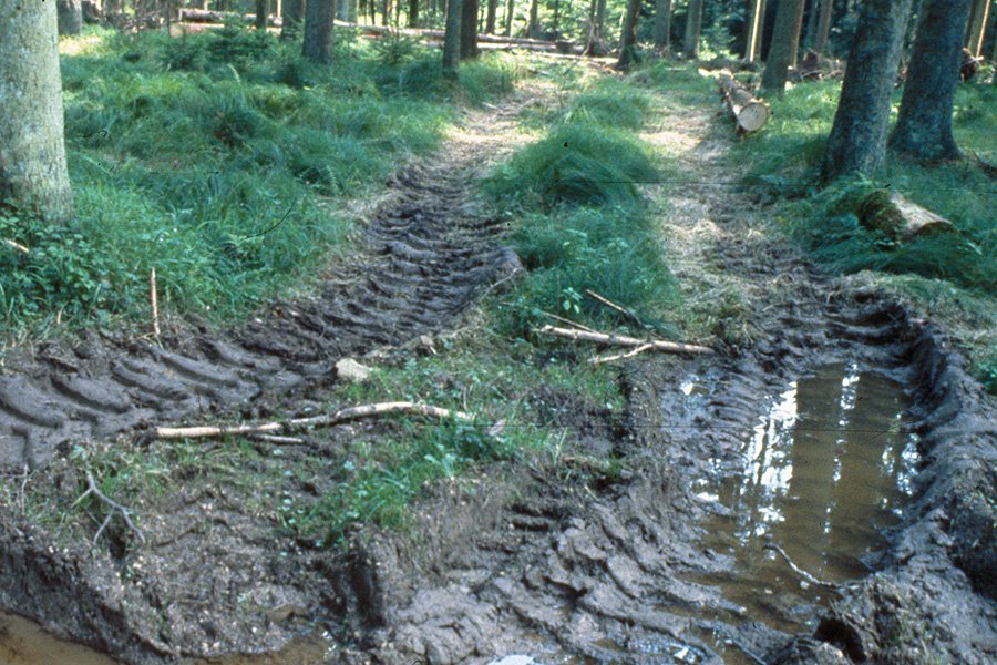 Soil microorganisms as indicators for heavily compacted wheel tracks ...