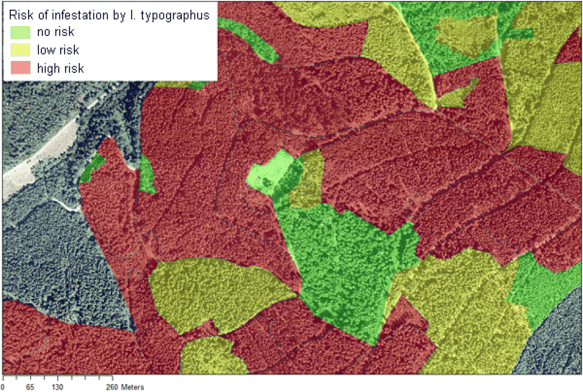 Spreading dynamics of the European spruce bark beetle in the Black ...