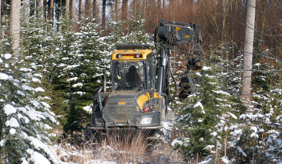 Adapting timber harvesting methods to nature conservation requirements ...