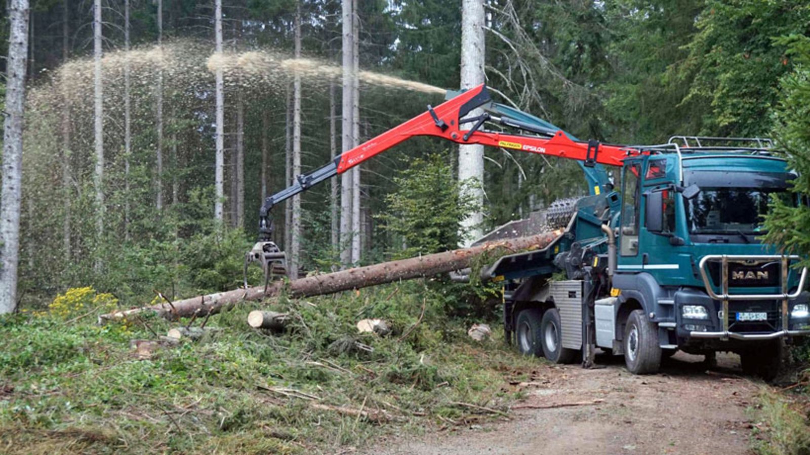 Chipping of logs infested with bark beetles - waldwissen.net