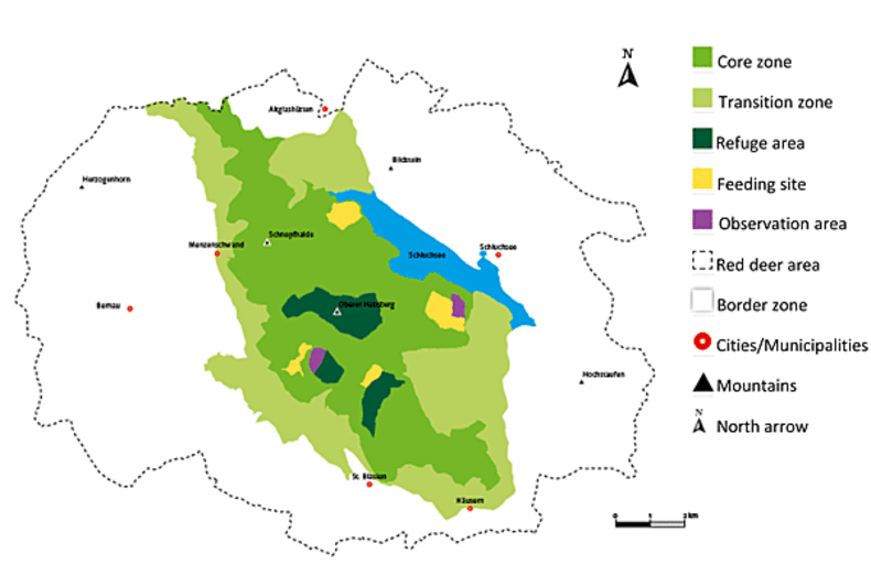 Red deer management concept Southern Black Forest - waldwissen.net