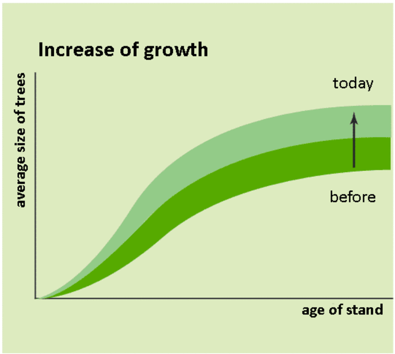 Tree growth on the fast track - waldwissen.net