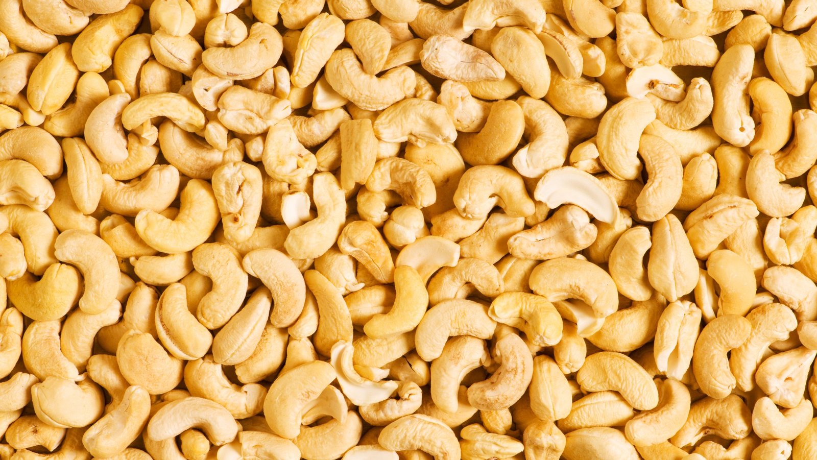 Nuss und Mandelkern - Nüsse und Nussbäume näher betrachtet