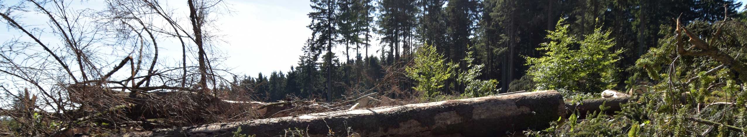 Themensammlung Klimawandelanpassung