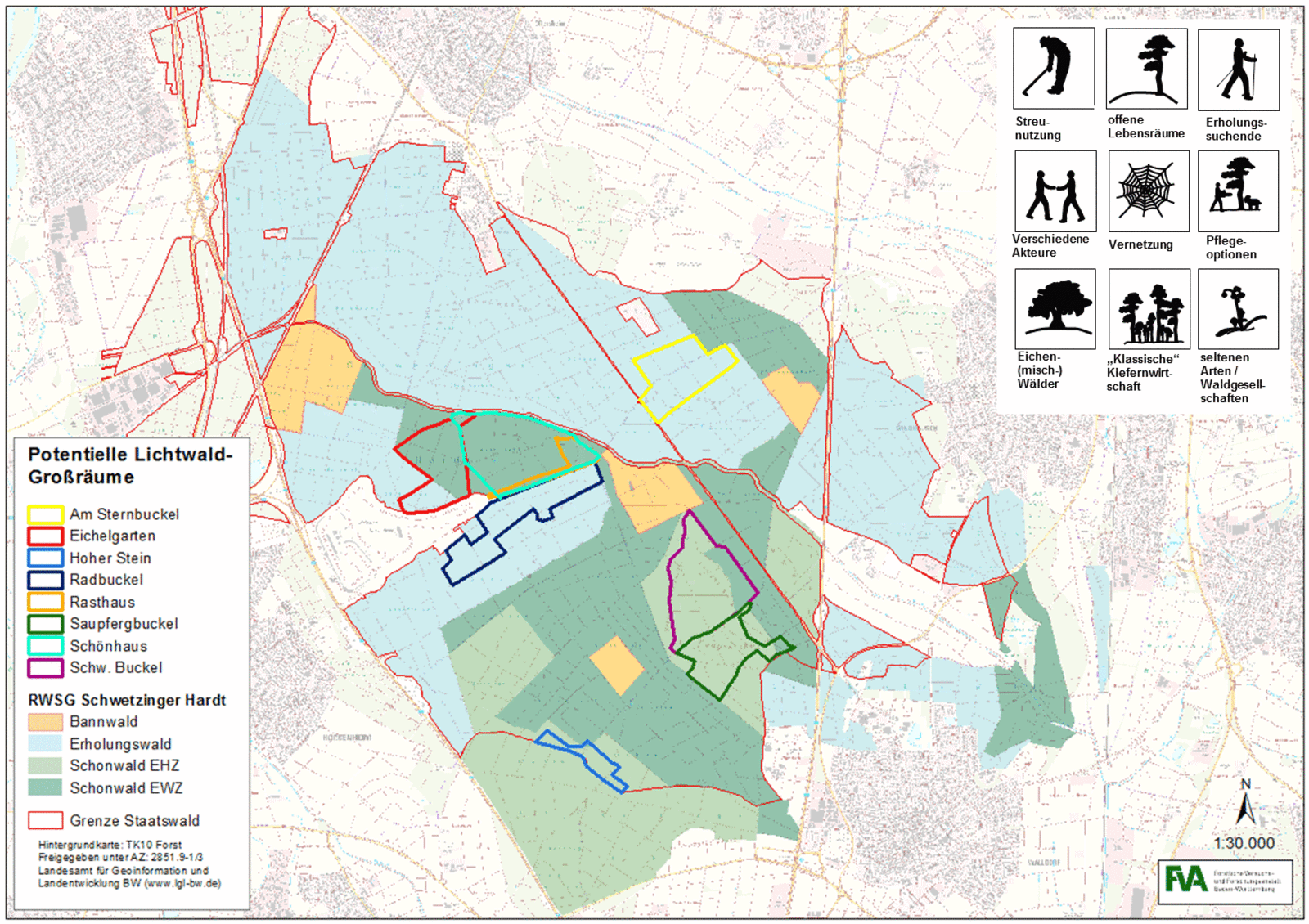 Lichtwaldgestaltung im Schwetzinger Hardt - waldwissen.net