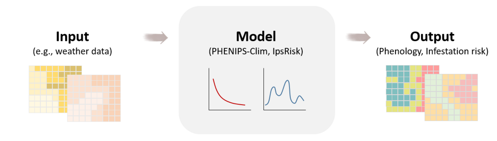 Innovative models for bark beetle management - waldwissen.net