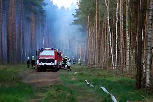 Forest fire fighting crews and equipment - waldwissen.net