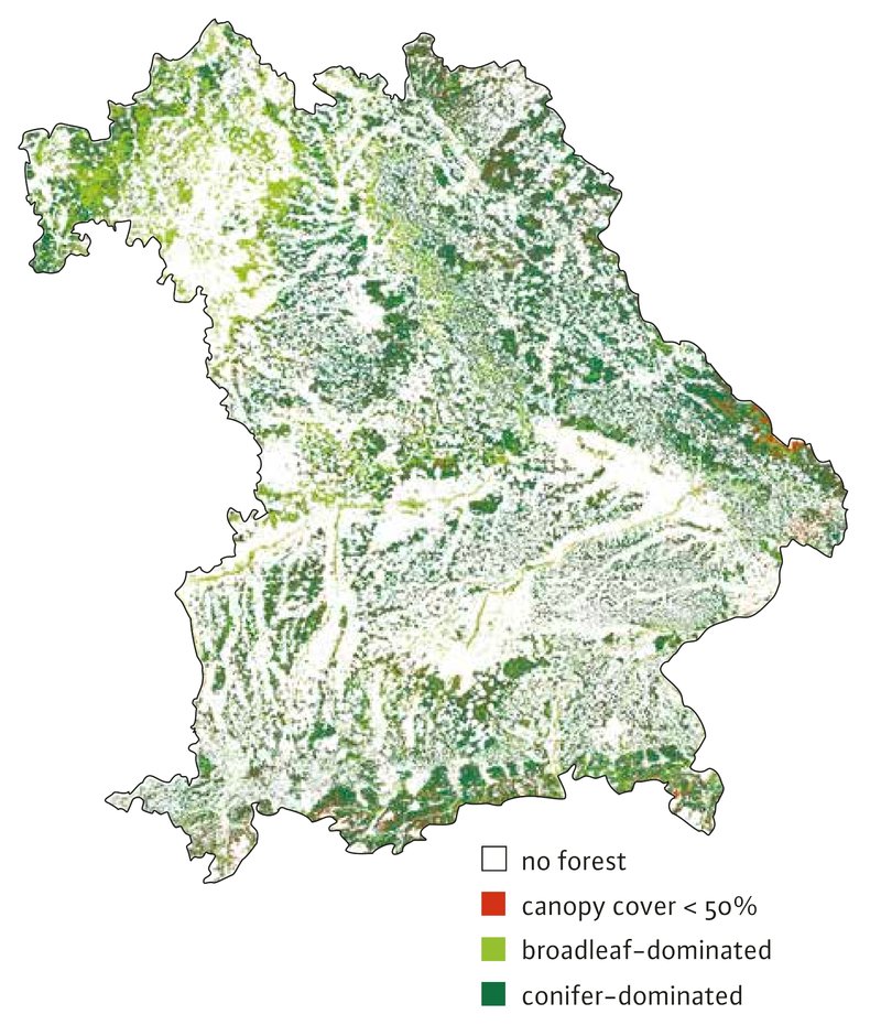 Tracking the forest - with the help of space “sentinels” - waldwissen.net