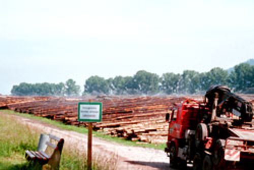 Wet Storage - Organising Storage and Removal of Timber - waldwissen.net